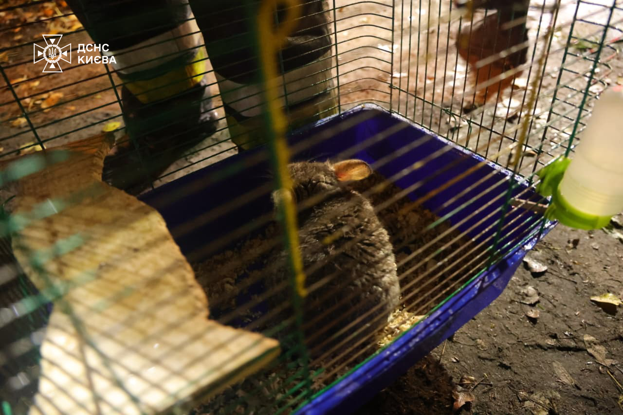 РФ завдала комбінованого удару по Києву: 6 загиблих, серед поранених - дитина - Київ Vgorode.ua